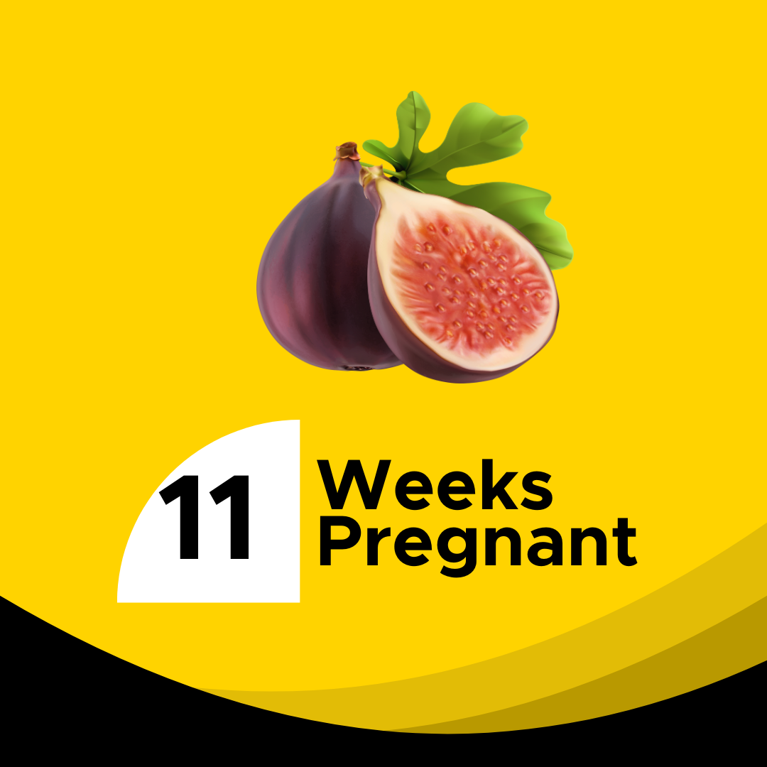 11 Weeks Pregnant: Your Ultimate Guide to the NT Scan & Screenings