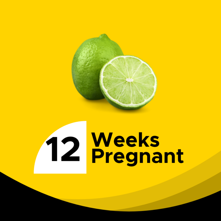 12 Weeks Pregnant! Your Complete Guide to the End of the First Trimester