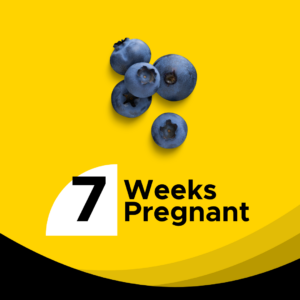 7 Weeks Pregnant: Complete Guide to Major Baby Milestones This Week