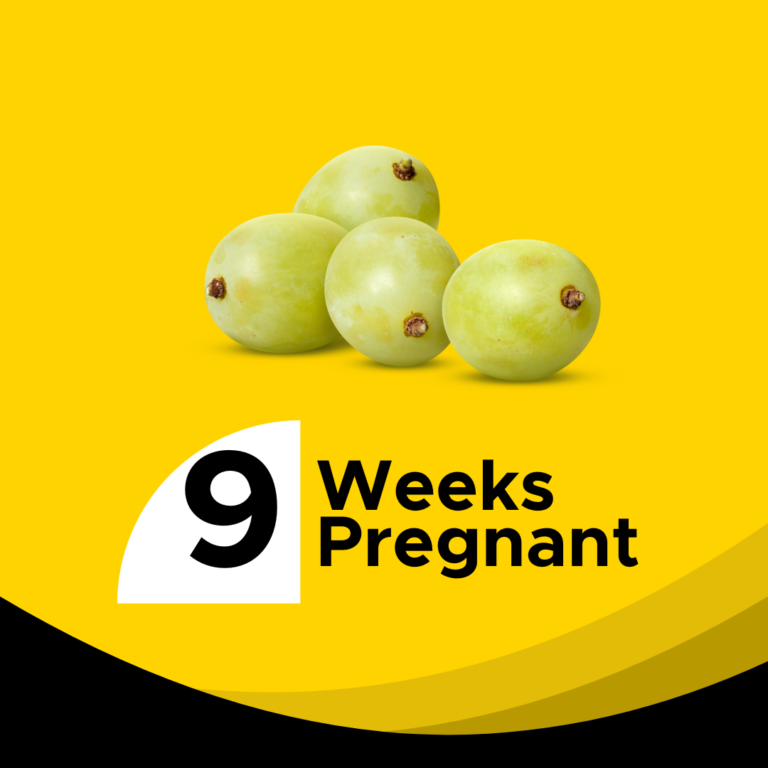9 Weeks Pregnant: Complete Guide as Your Baby Develops Visible Features