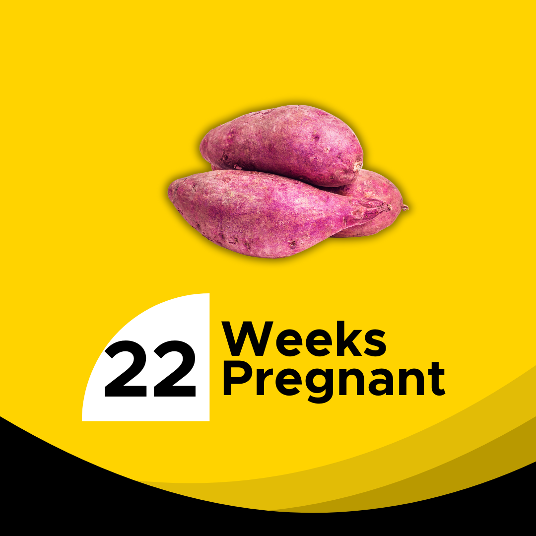 22 Weeks Pregnant: Your Ultimate Guide to Viability & Baby's Active ...