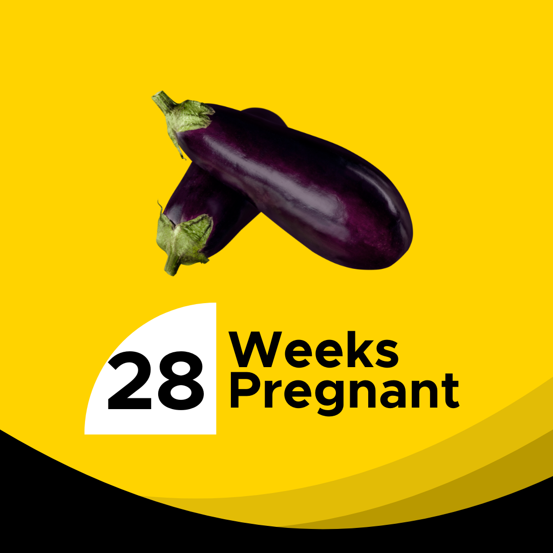 28 Weeks Pregnant: Your Complete Third Trimester Guide to a Major ...