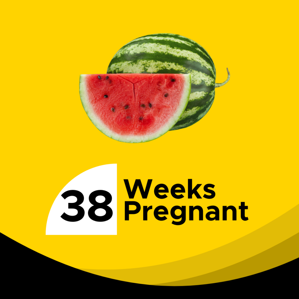 38 Weeks Pregnant: Your Complete Guide to the Final Days & Signs Labor ...