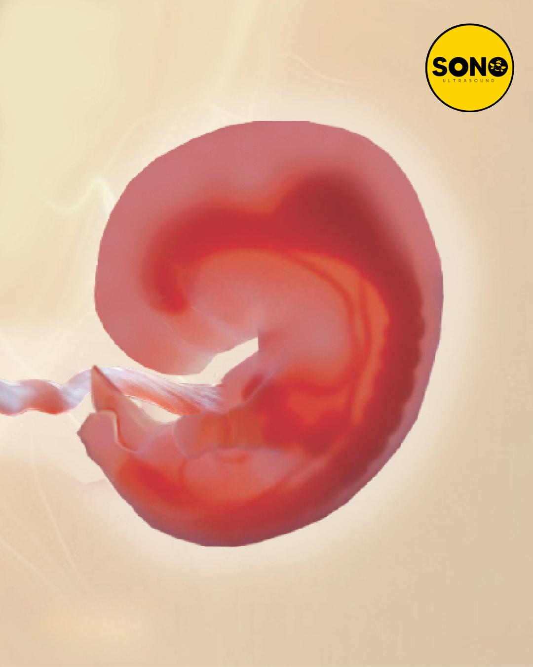 7 Weeks Pregnant: Complete Guide to Major Baby Milestones This Week